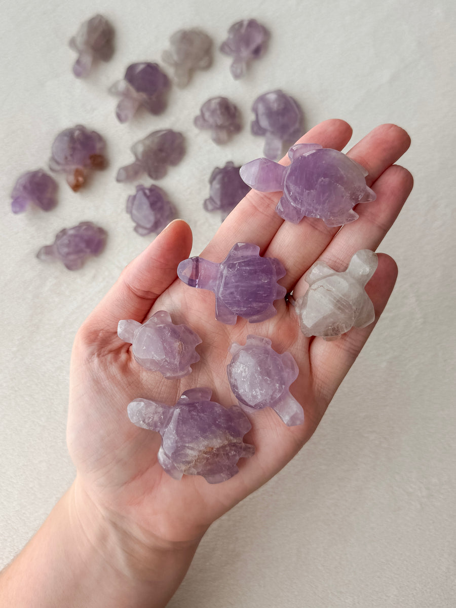 Animals – Whimsy + Wellness