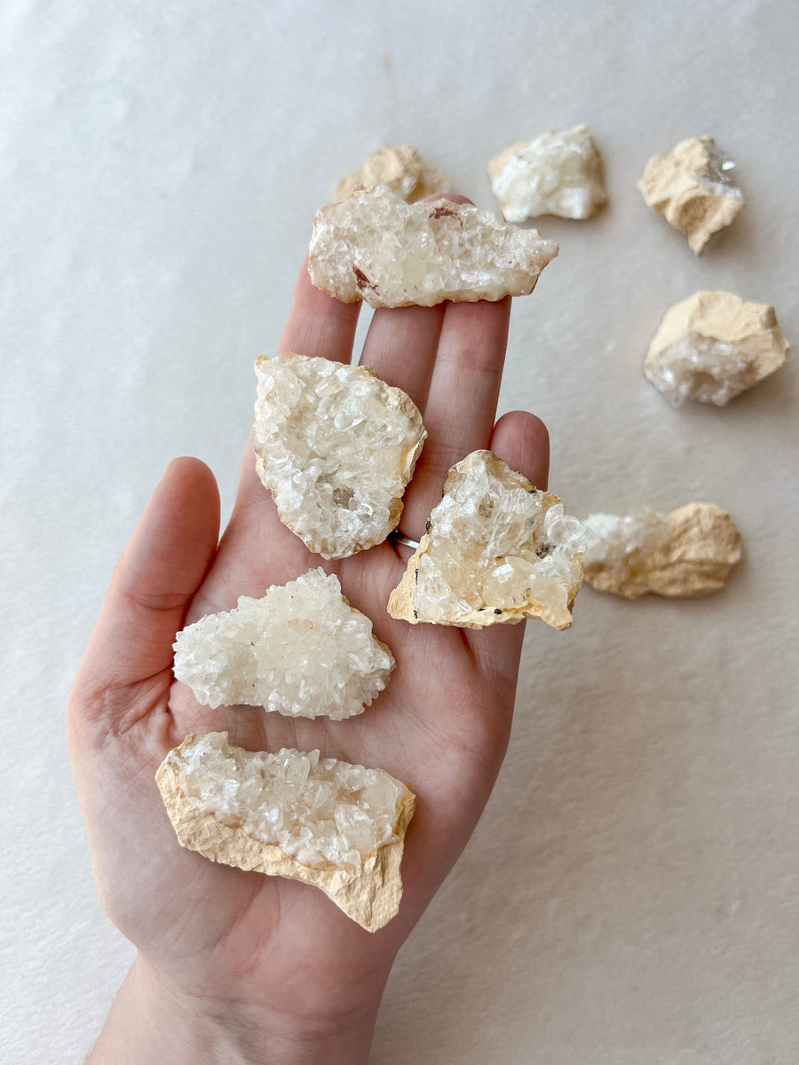 BLACK + BROWN – Whimsy + Wellness