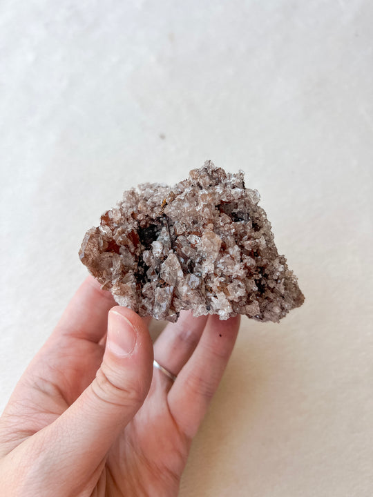 BLACK + BROWN – Whimsy + Wellness