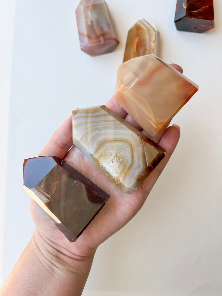 BLACK + BROWN – Whimsy + Wellness