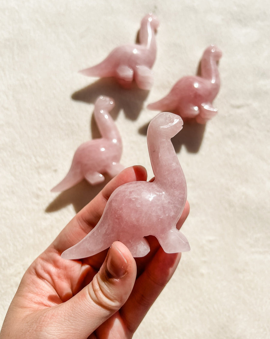 Animals – Whimsy + Wellness