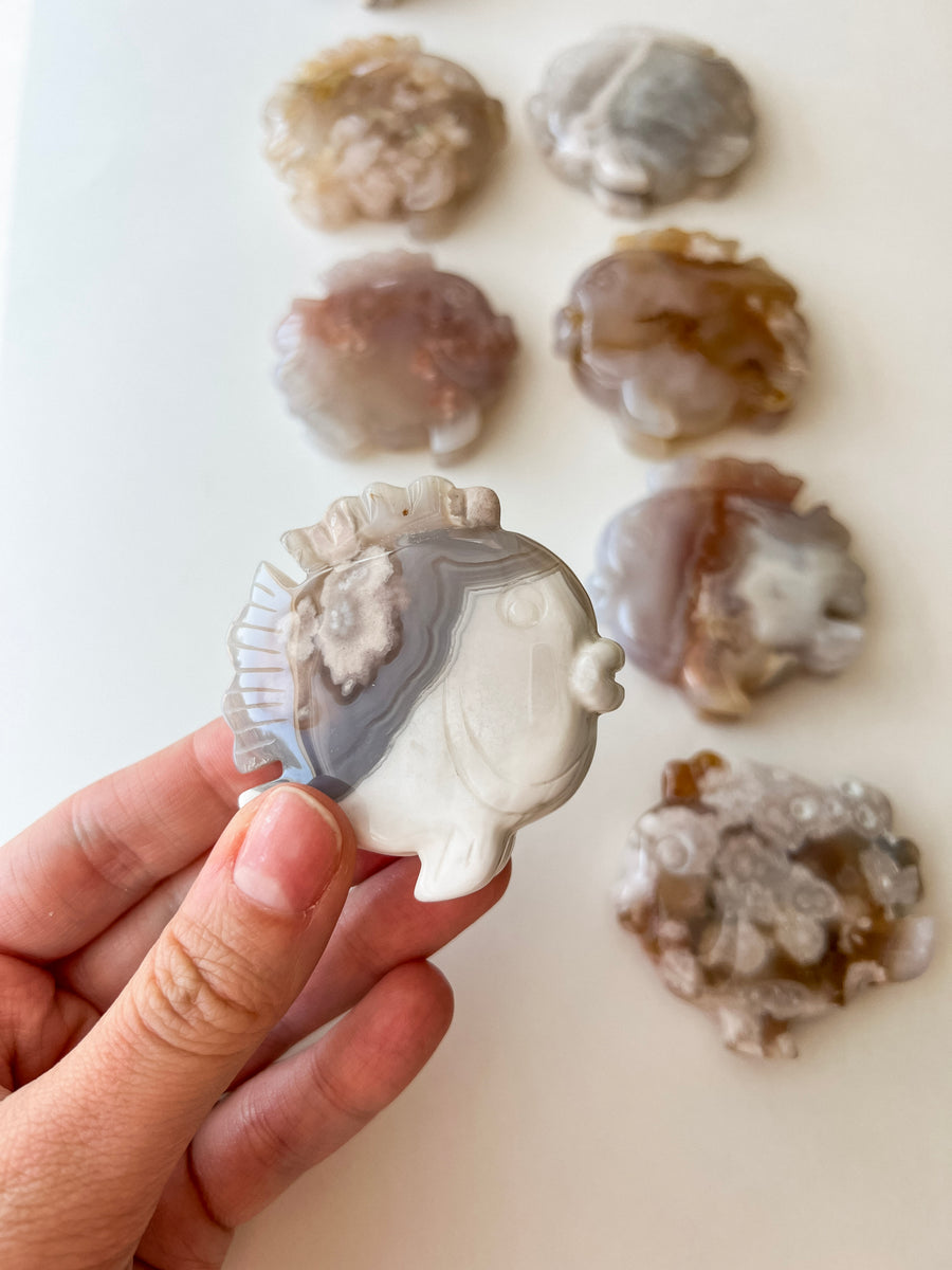 BLACK + BROWN – Whimsy + Wellness