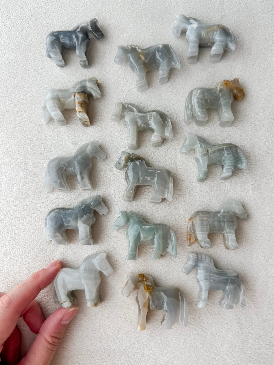 Animals – Whimsy + Wellness