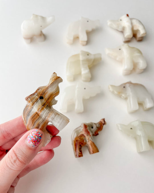 Animals – Whimsy + Wellness