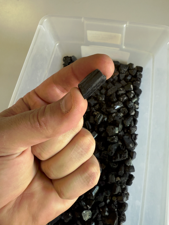 BLACK + BROWN – Whimsy + Wellness