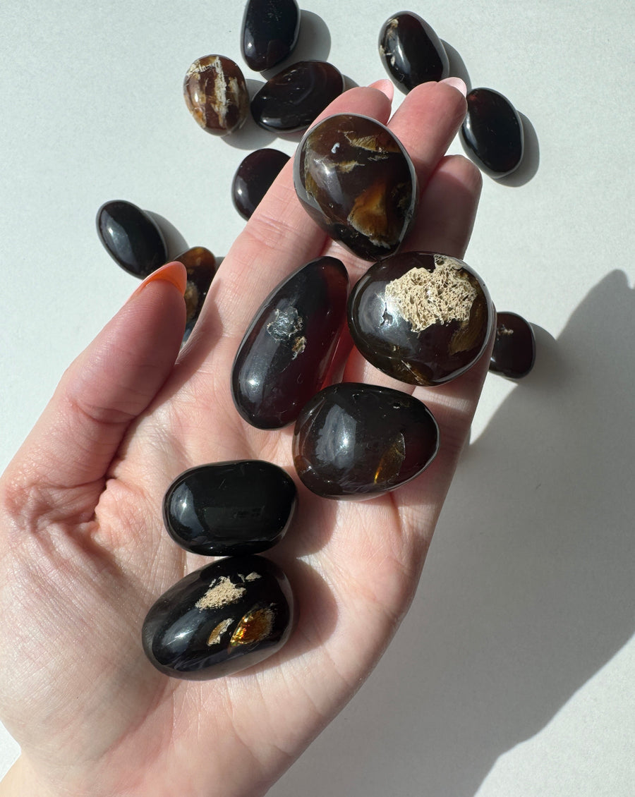 ORANGE – Whimsy + Wellness