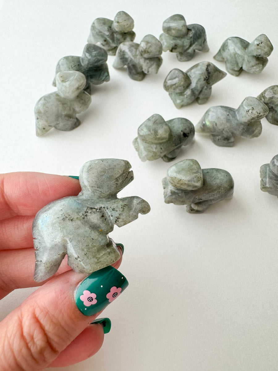 Animals – Whimsy + Wellness