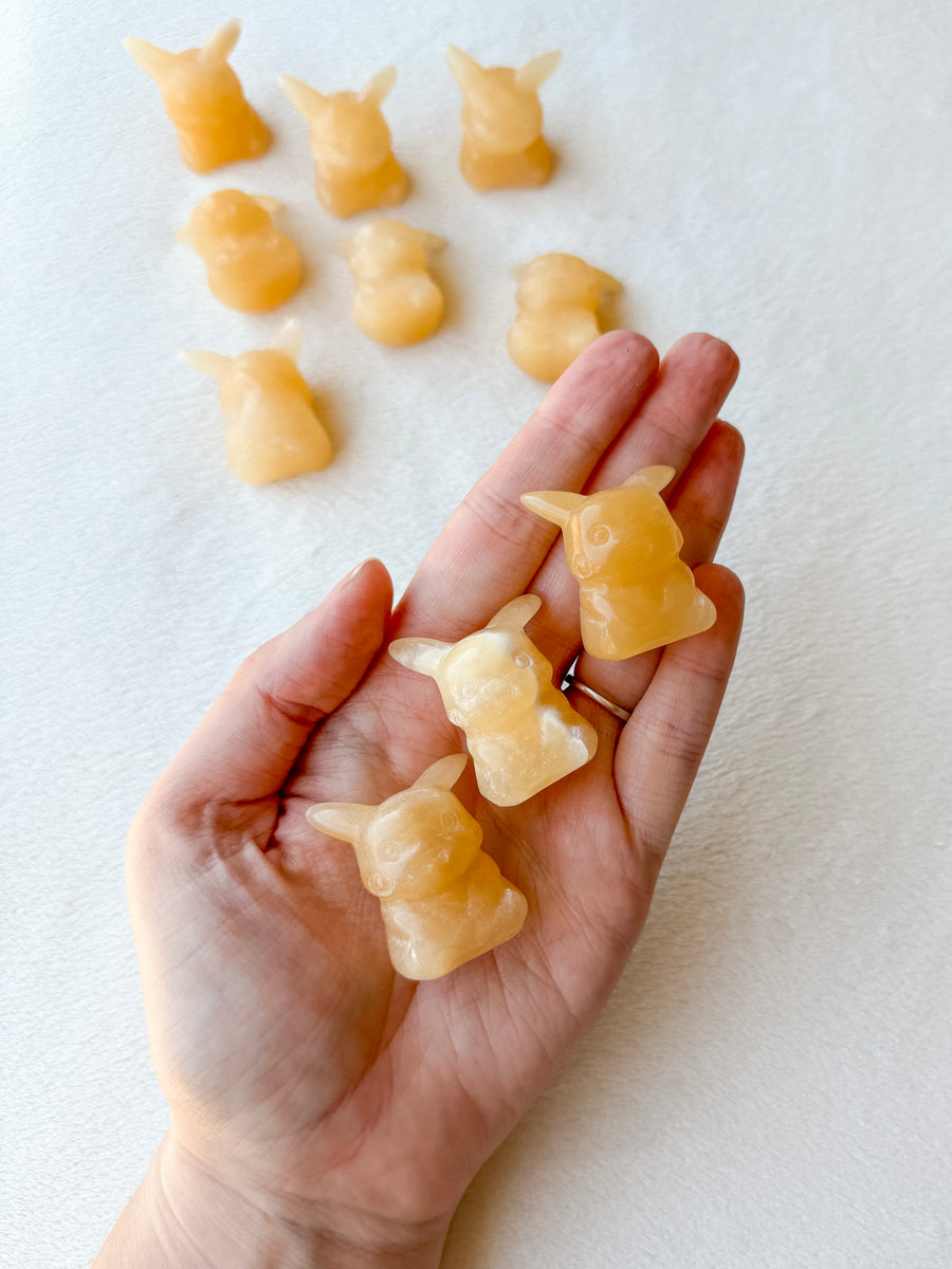 Animals – Whimsy + Wellness