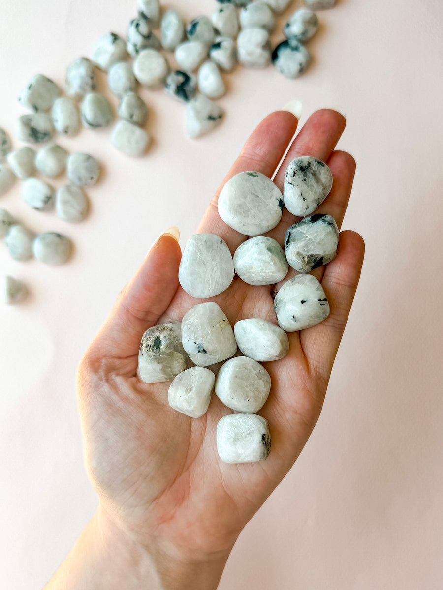 CLEAR + WHITE – Whimsy + Wellness