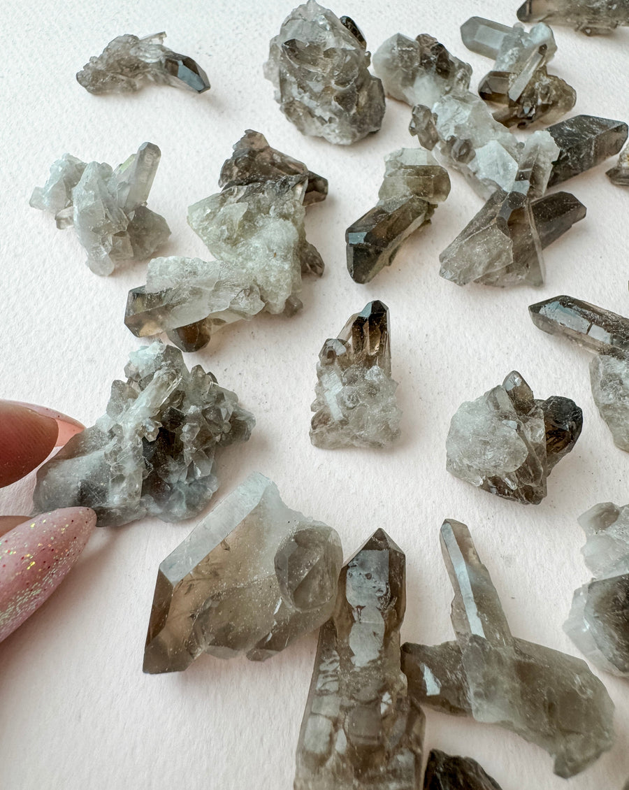 BLACK + BROWN – Whimsy + Wellness