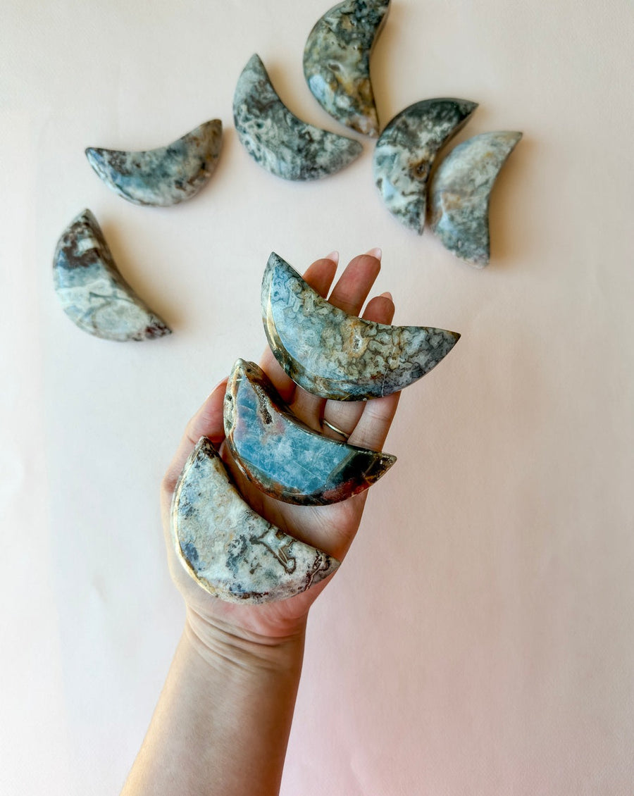 BLACK + BROWN – Whimsy + Wellness