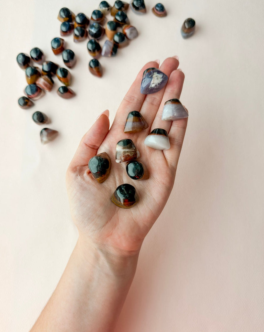 BLACK + BROWN – Whimsy + Wellness