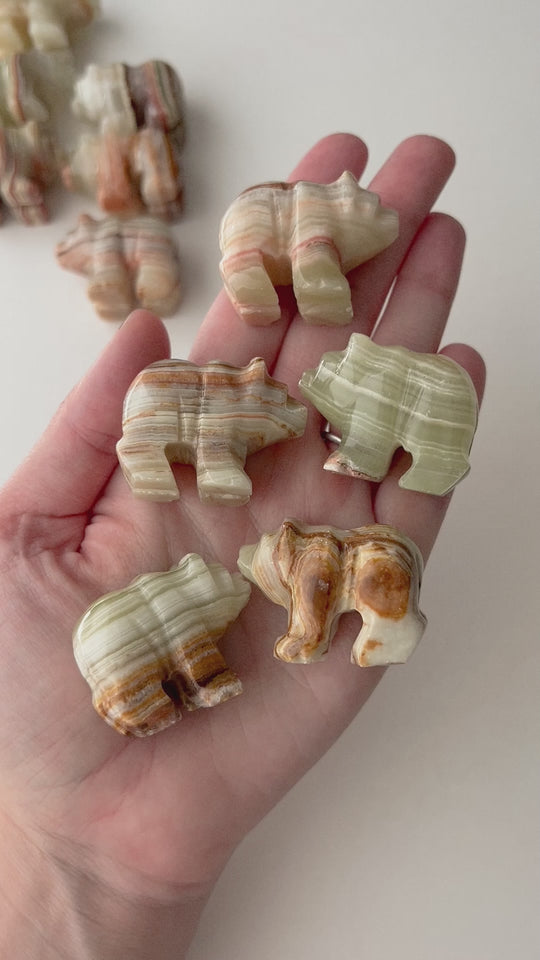 Animals – Whimsy + Wellness