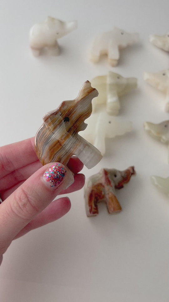 Animals – Whimsy + Wellness