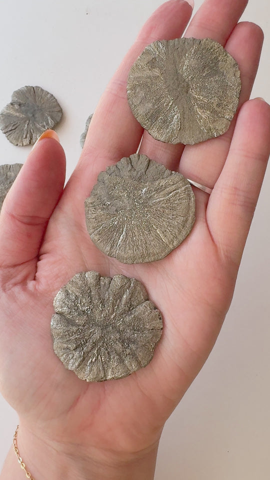 YELLOW – Whimsy + Wellness