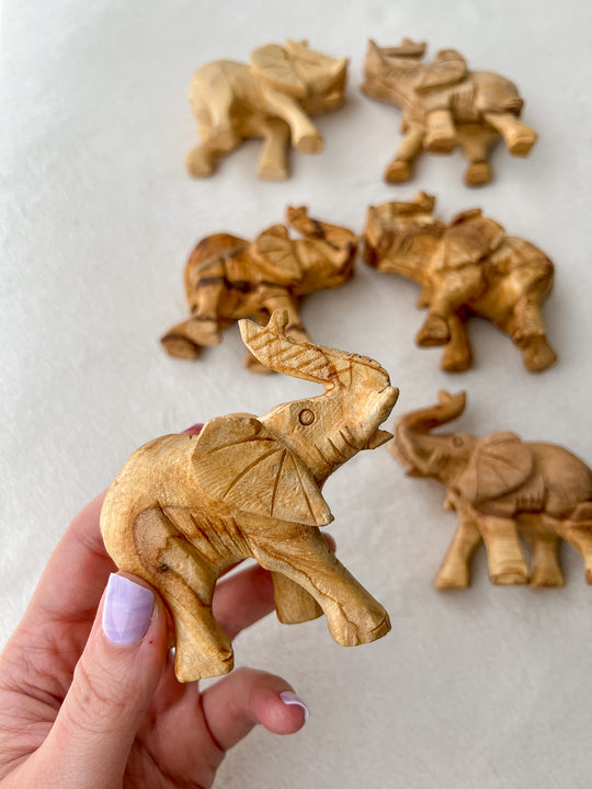 Autumn Alchemy – Whimsy + Wellness