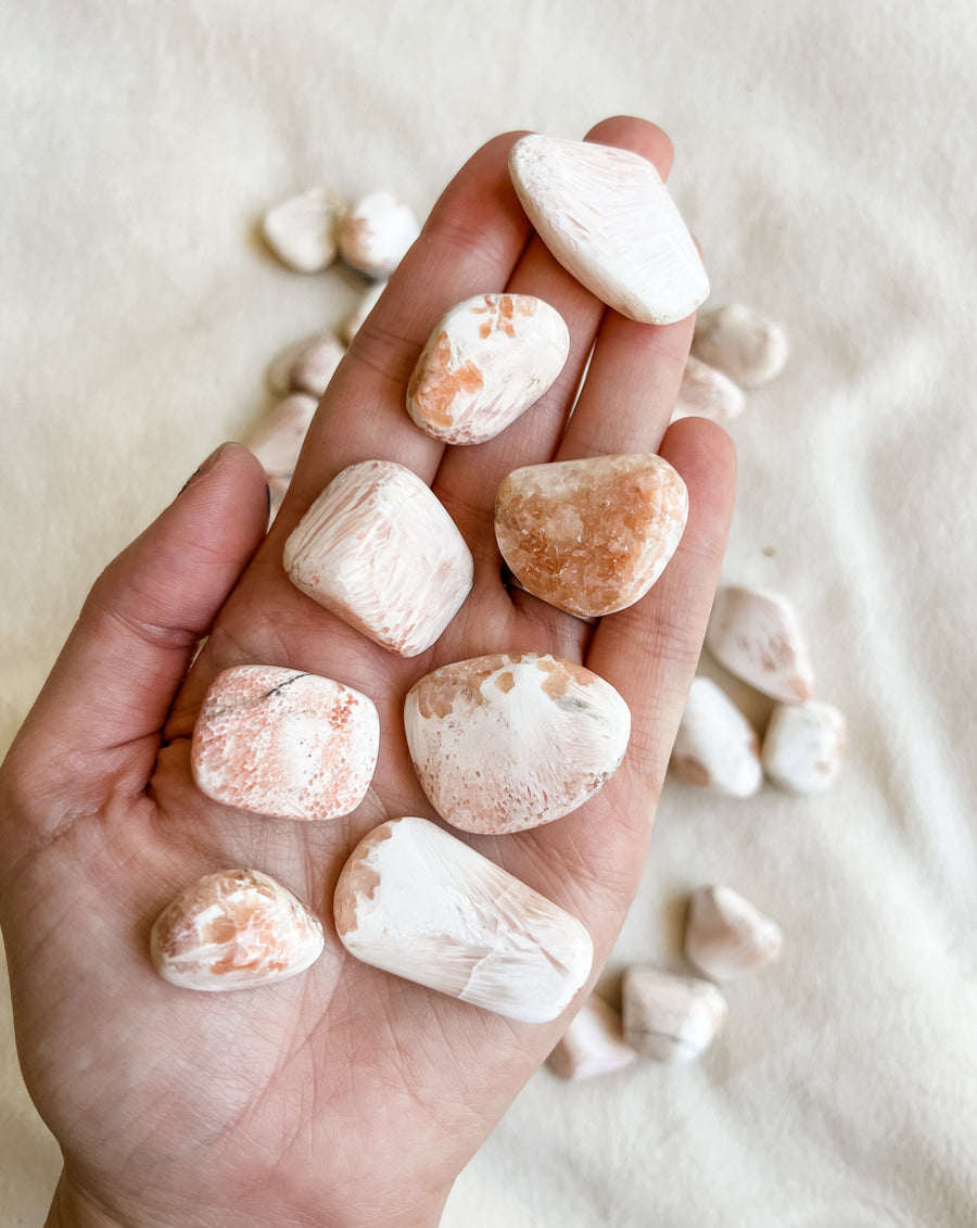 CLEAR + WHITE – Whimsy + Wellness